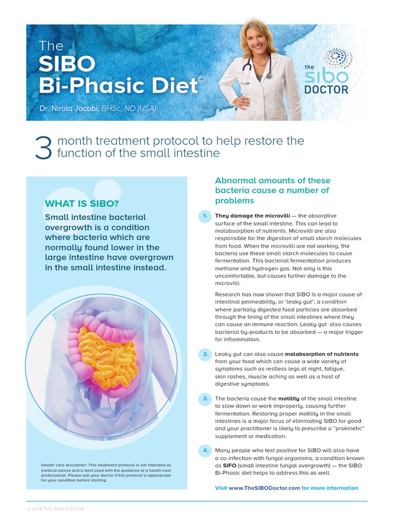 Bi-Phasic Diet Protocol | PDF | Fruit | Drink