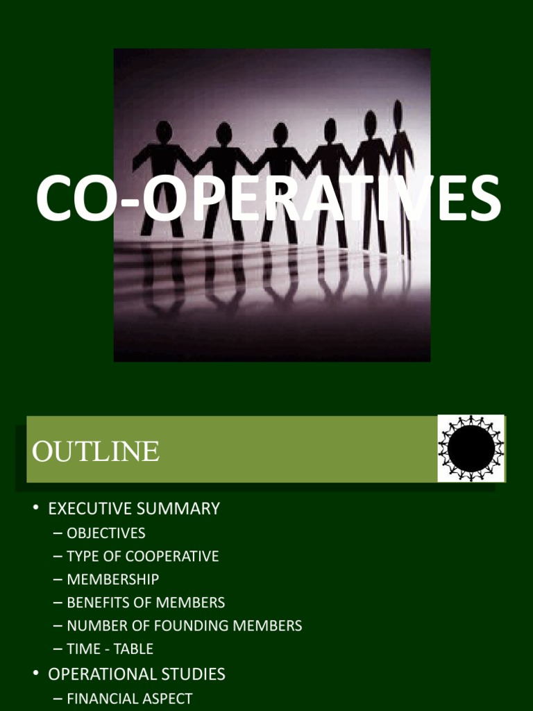 Co-operative Business Plan Overview | PDF | Cooperative | Capital ...