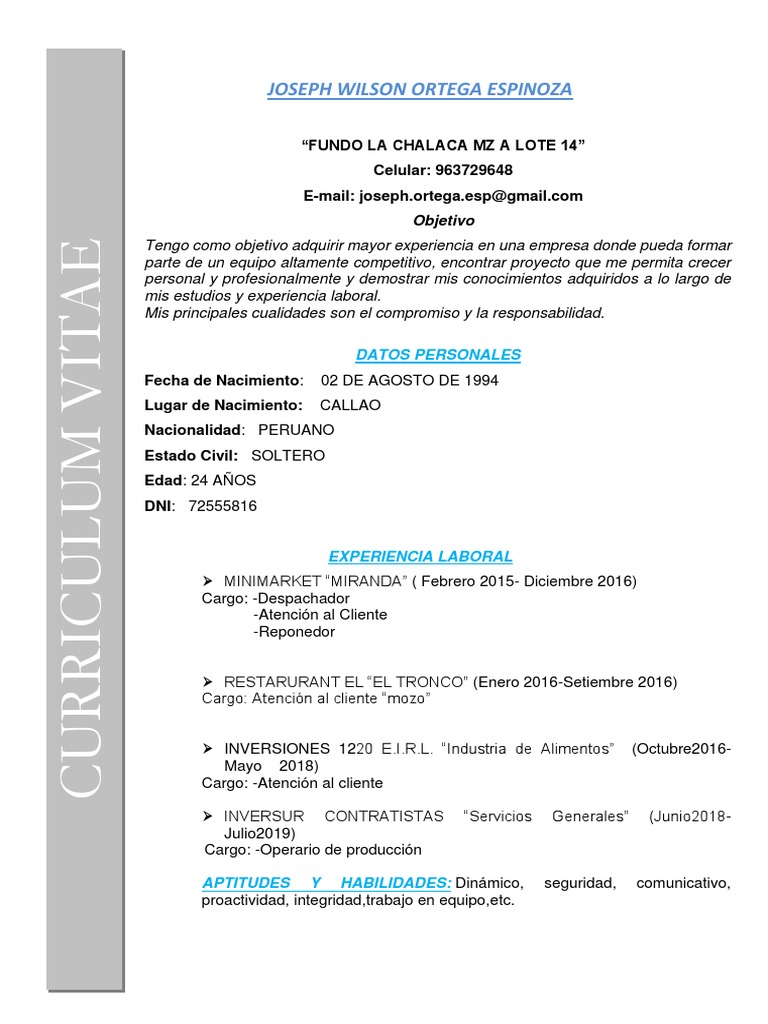 CV2020 | PDF | Business | Educación avanzada