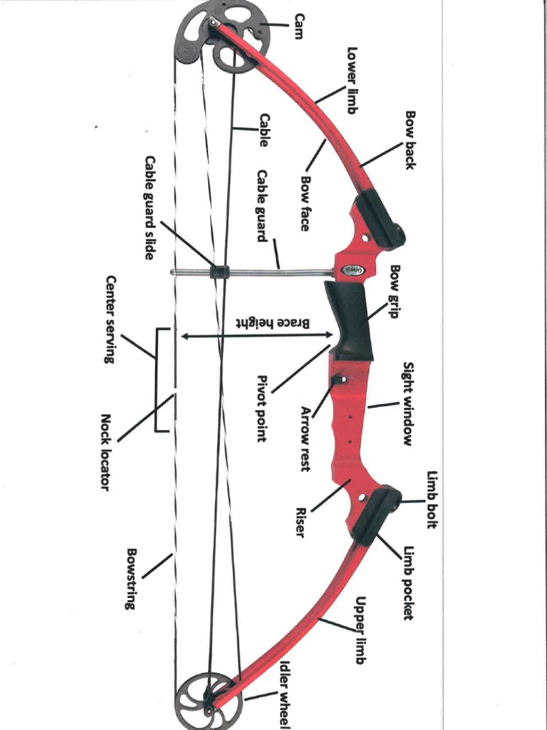 Bow Identification | PDF
