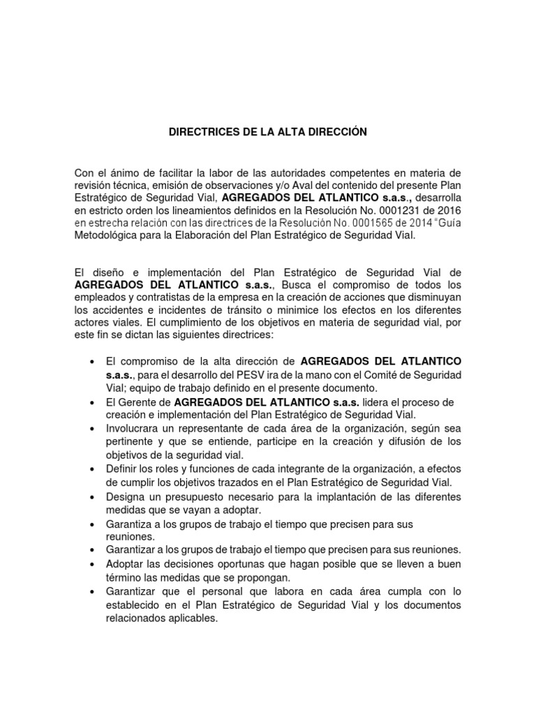 Directrices de La Alta Dirección | PDF | Seguridad vial | Business