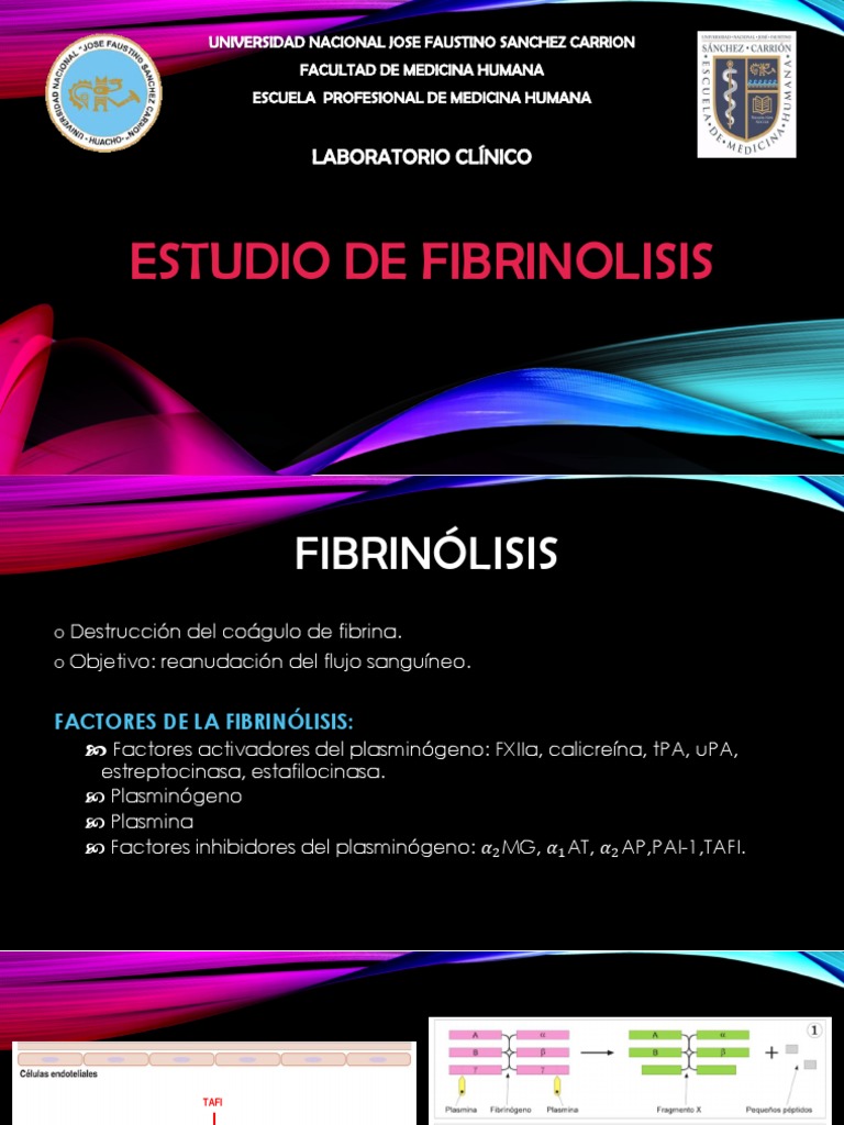 Fibrinolisis | PDF | Coagulación | Tejido (biología)