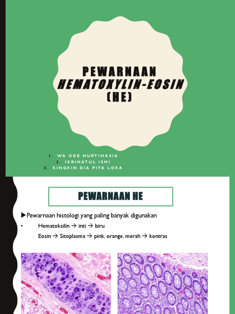 Pewarnaan He | PDF