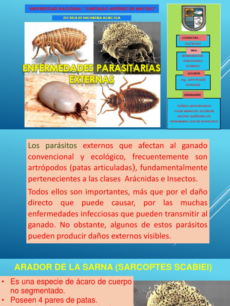 Enfermedades Parasitarias Externas | PDF | Parasitismo | Organismos