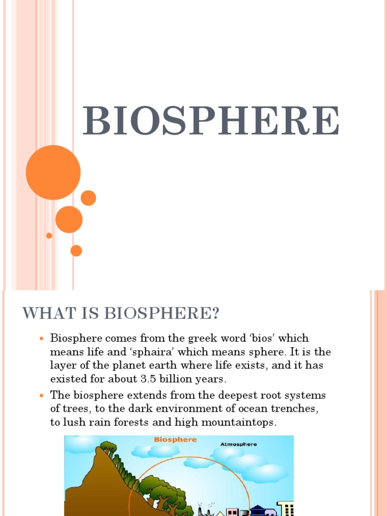 BIOSPHERE | PDF | Life | Plants