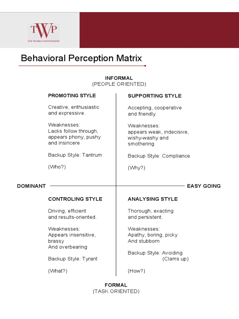 Behavioral Perception Matrix | PDF