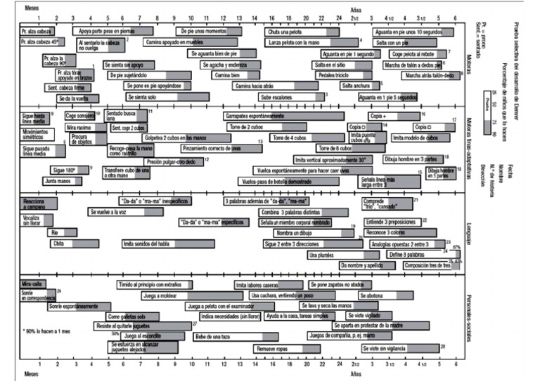 Escala de Denver | PDF