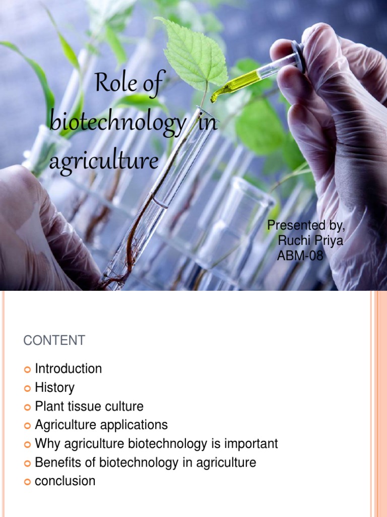 Biotech Application | PDF | Biotechnology | Genetically Modified Organism