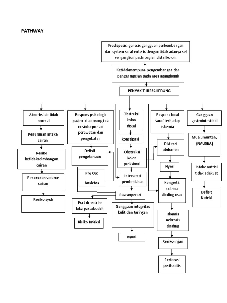 Pathway Hirschsprung | PDF
