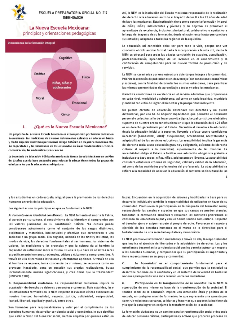 Principios y Orientaciones de La Nem | PDF