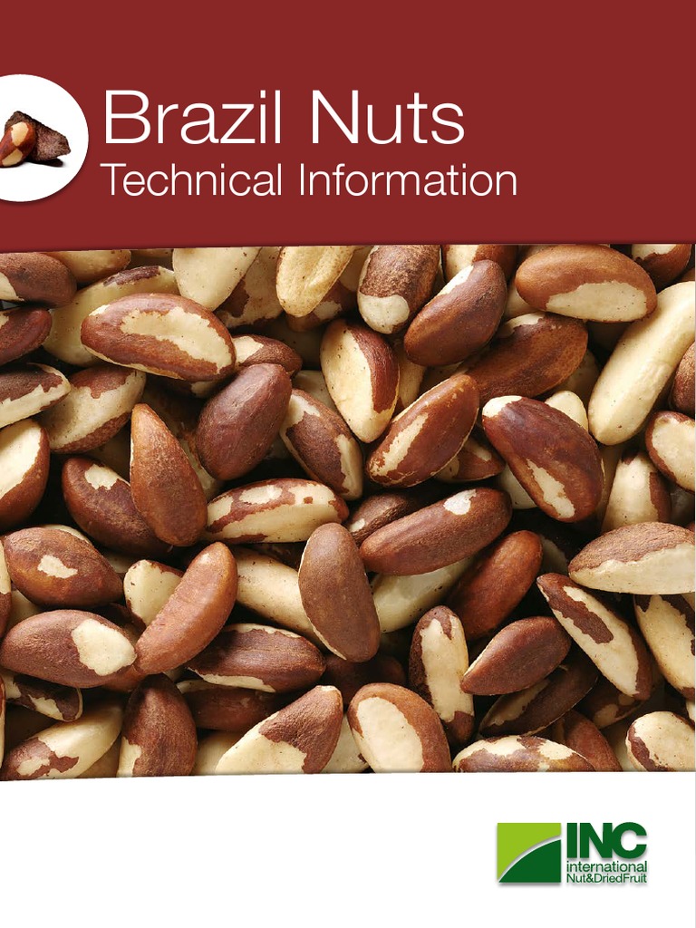 Technical Information Kit Brazil Nuts | PDF | Magnesium | Amazon Rainforest