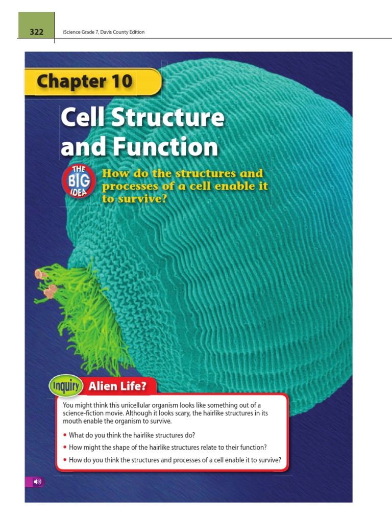 10 Cell Structure and Function PDF | PDF