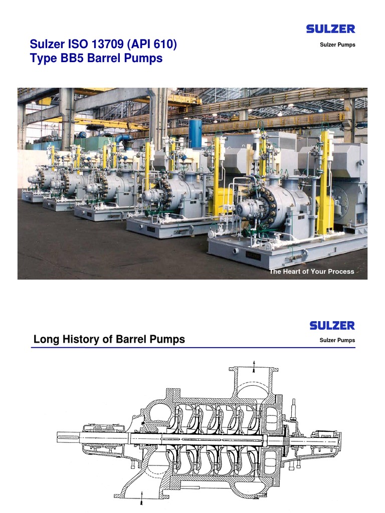 Sulzer Presentation | PDF | Bearing (Mechanical) | Pump