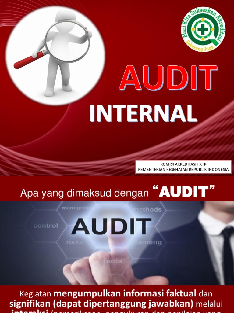 Audit Internal | PDF