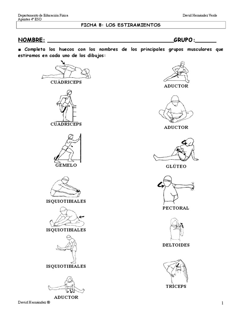 Ficha Estiramientos Corregida | PDF