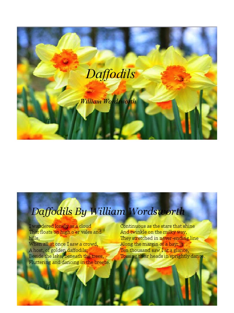 Analysis of Wordsworth's Daffodils Poem | PDF | Poetry