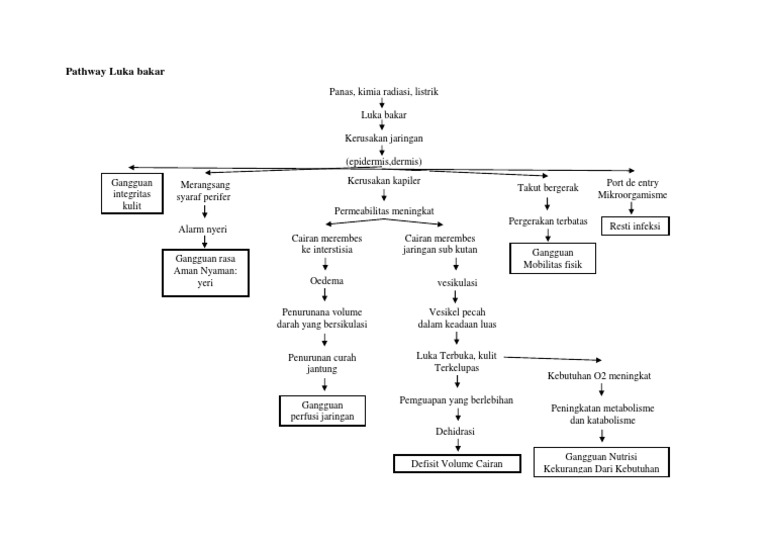 Pathway Luka Bakar | PDF