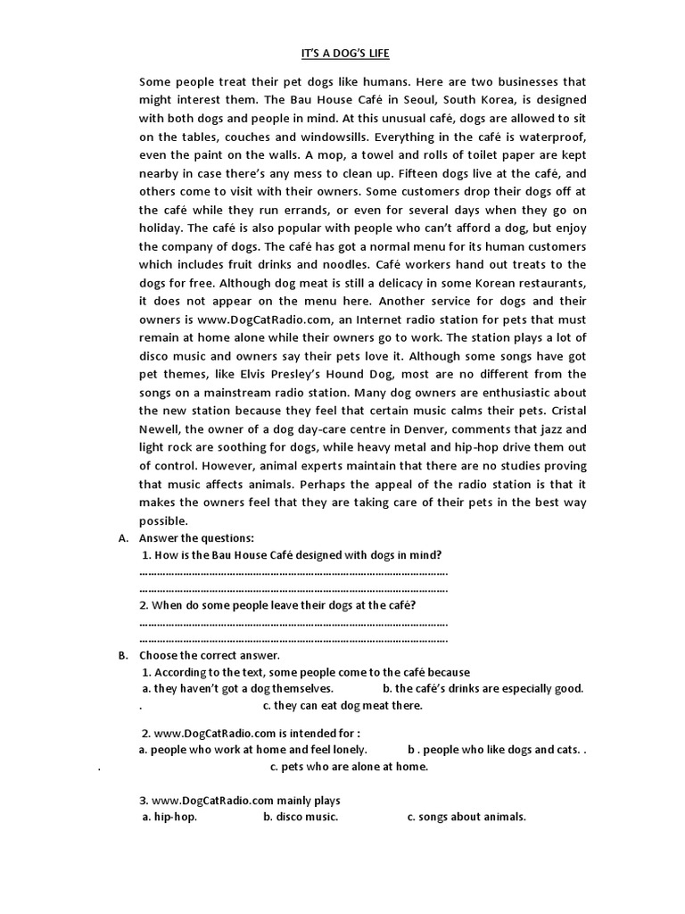 Reading Comprehension | PDF