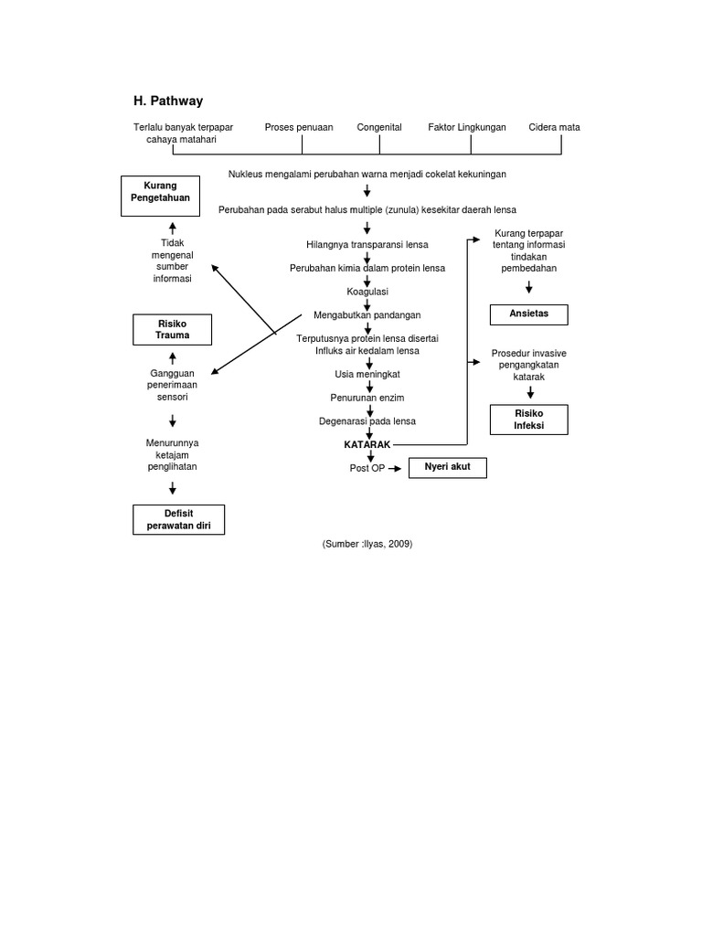 Pathway Katarak | PDF