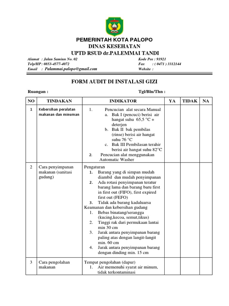 Form Audit Ppi Bagian Gizi | PDF