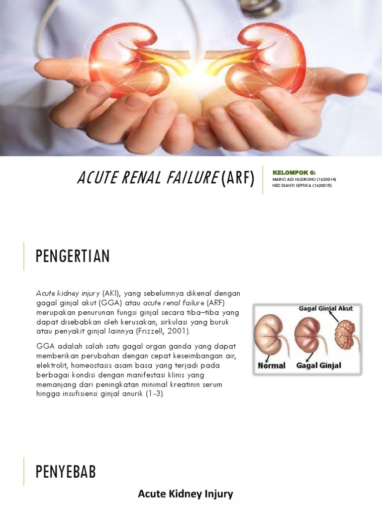 Acute Renal Failure (ARF) | PDF