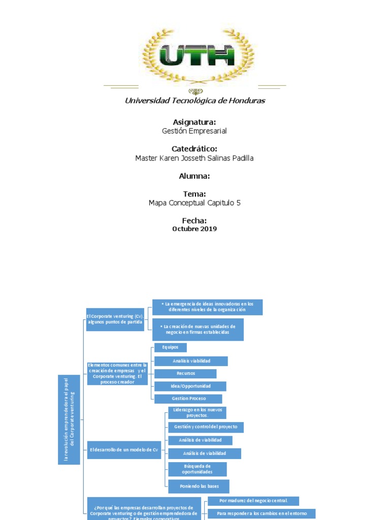 Mapa Conceptual Capitulo 5 | PDF
