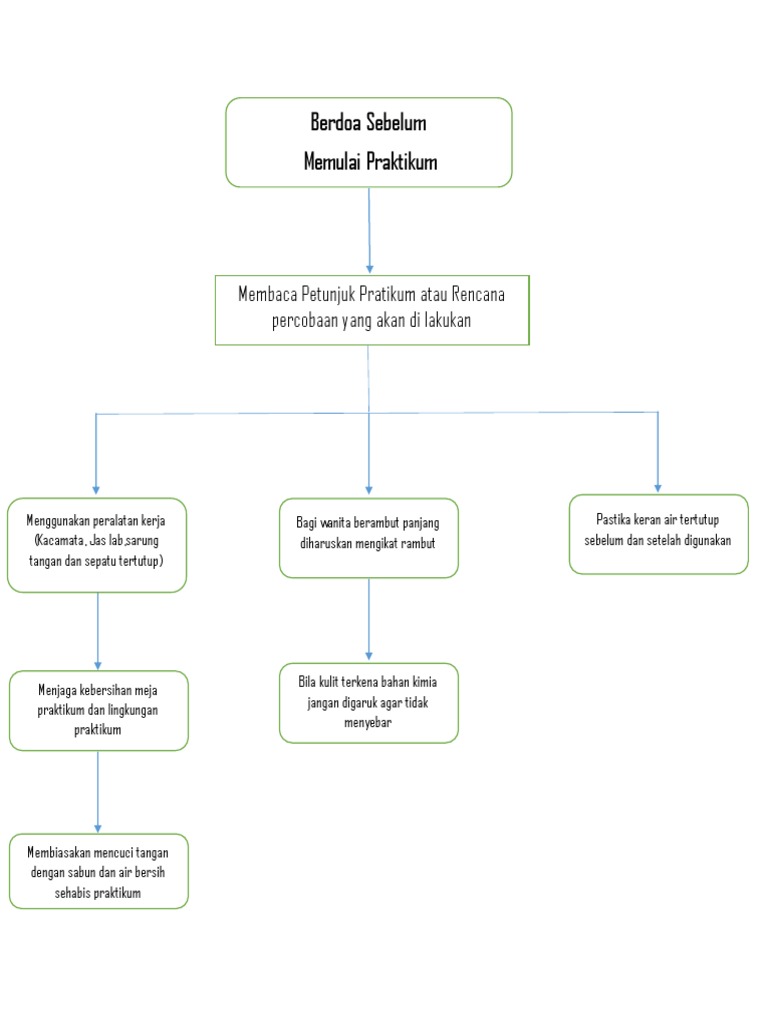 Bagan Sop Laboratorium | PDF