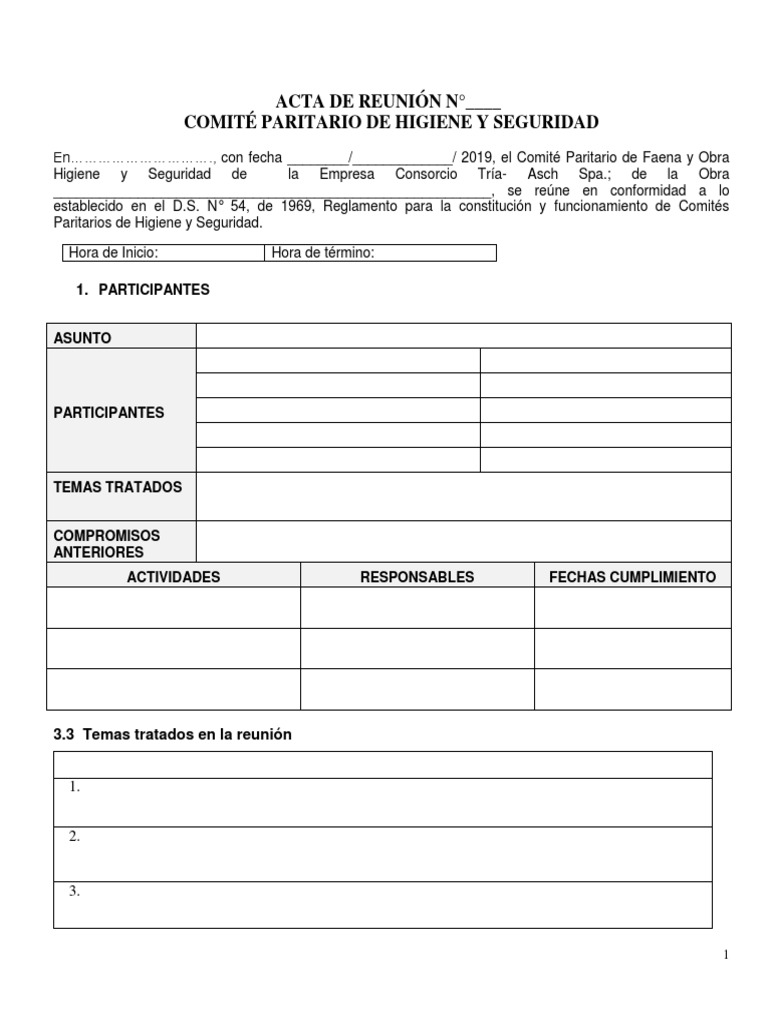 Acta de Comite Paritario