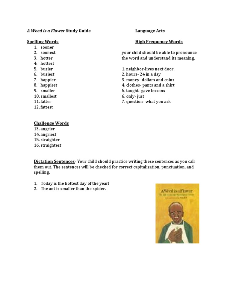 A Weed Is A Flower Study Guide | PDF