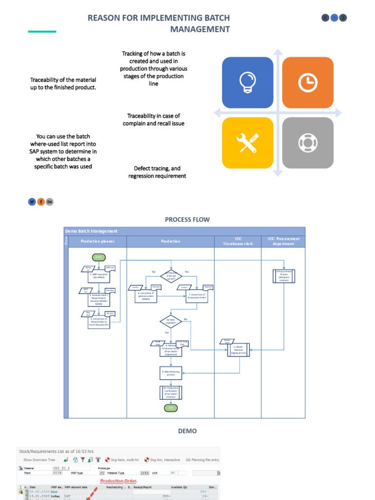 SAP Batch Management | PDF