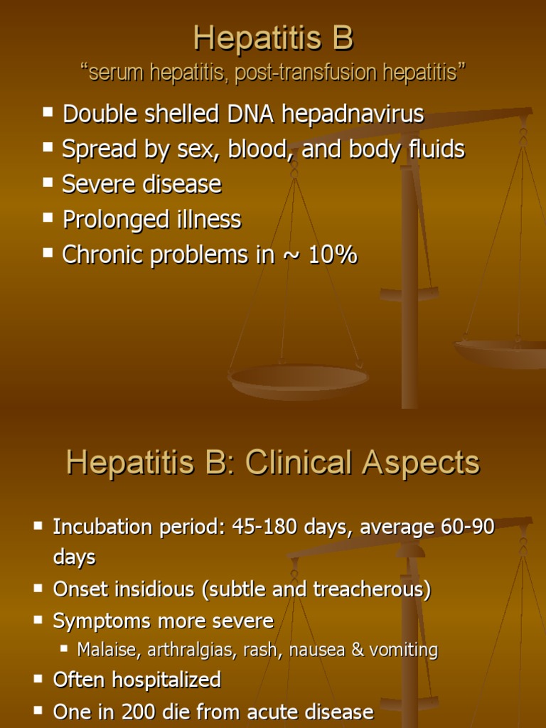 Hepatitis B | PDF | Hepatitis B | Medical Specialties