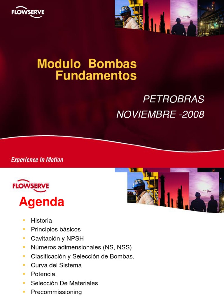 Propilco Bombas Flowserve | PDF