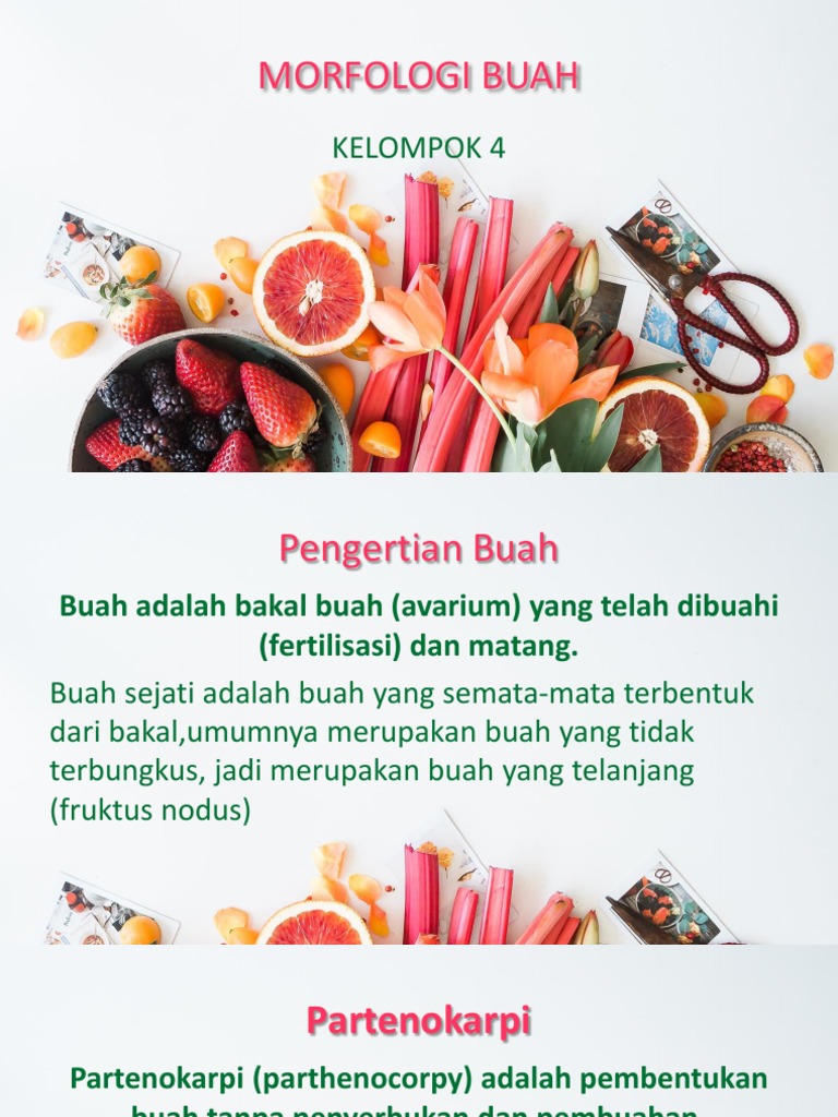 Morfologi Buah | PDF