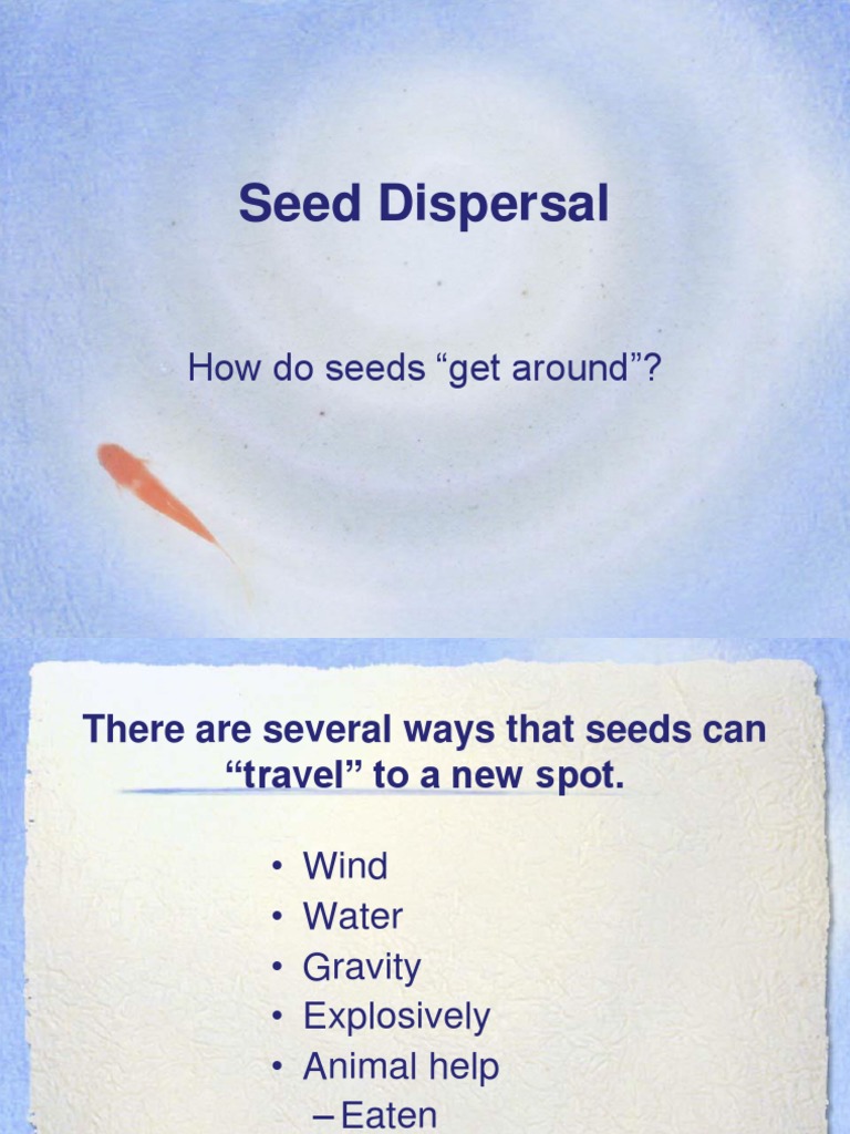 Seed Dispersal | PDF