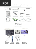 Halsted's Principles of Surgery Explained | PDF