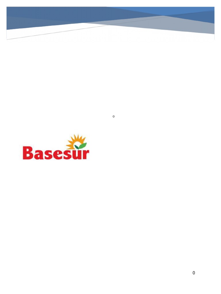 Basesur: Historia y Proceso Productivo | PDF