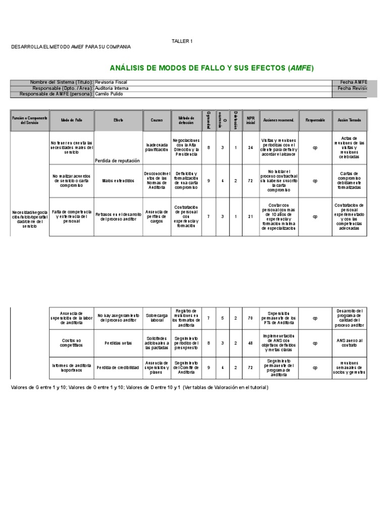 AMEF de Proceso de Auditoria | PDF