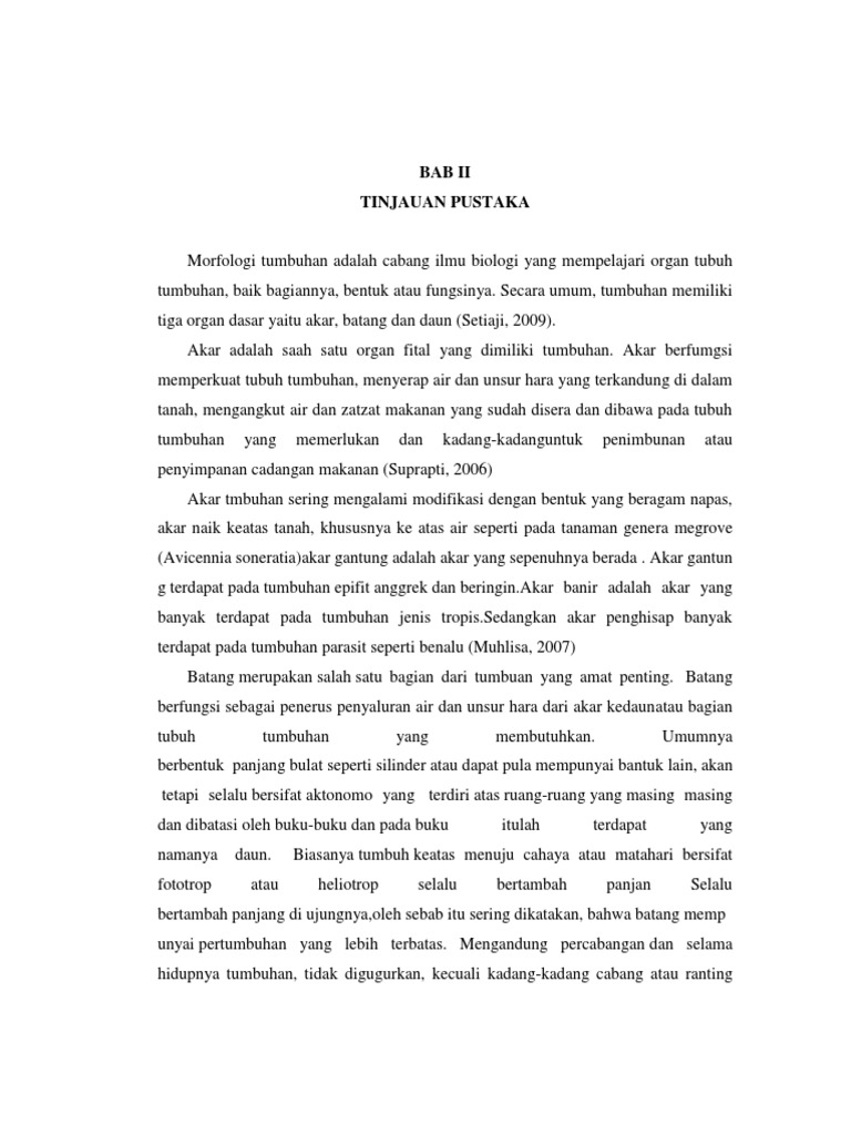 BAB 2 SPT Akar Batang SPT | PDF