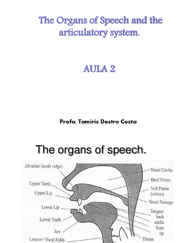 The Organs of Speech and The Articulatory System. 2017 | PDF