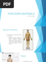 Anatomia Topografica de Cabeza y Cuello | PDF | Cráneo | Sistema esquelético