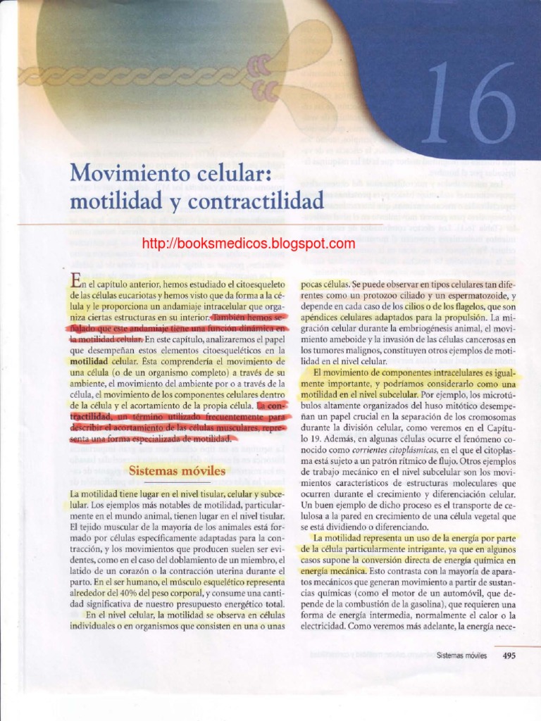 Capitulo 16 Movimiento Celular Motilidad y Contractilidad | PDF