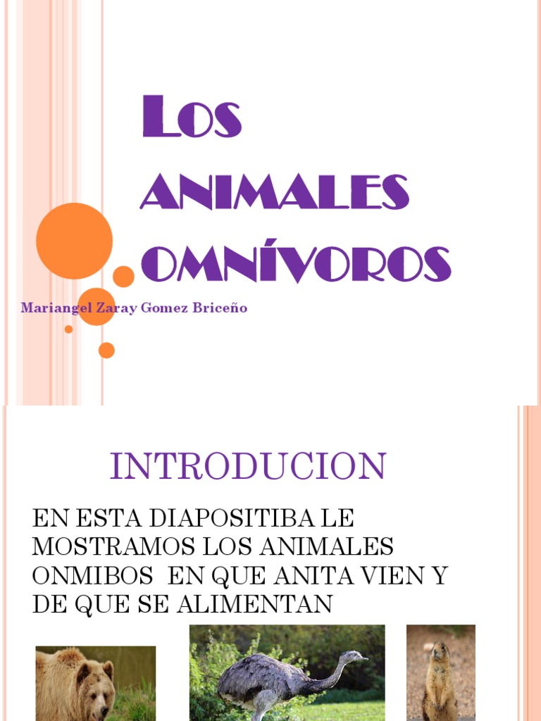 Los Animales Omnívoros | PDF | Aves | Carne