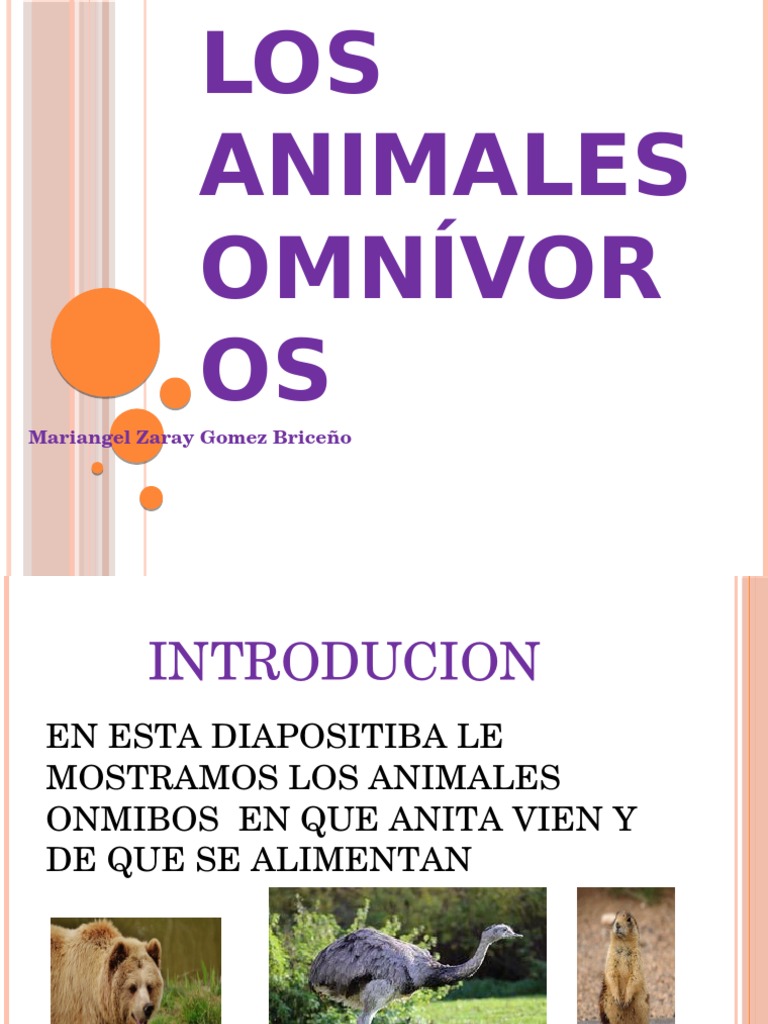 Los Animales Omnívoros | PDF | Alimentos | Aves