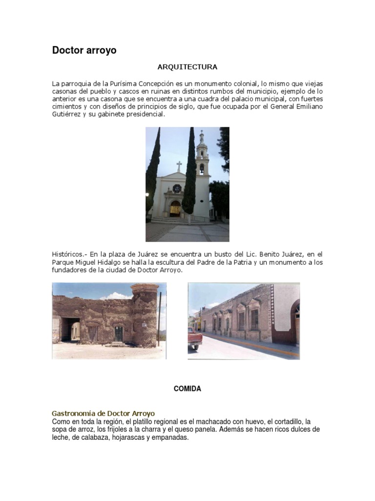 Doctor Arroyo | PDF | Ciencias sociales | Arte