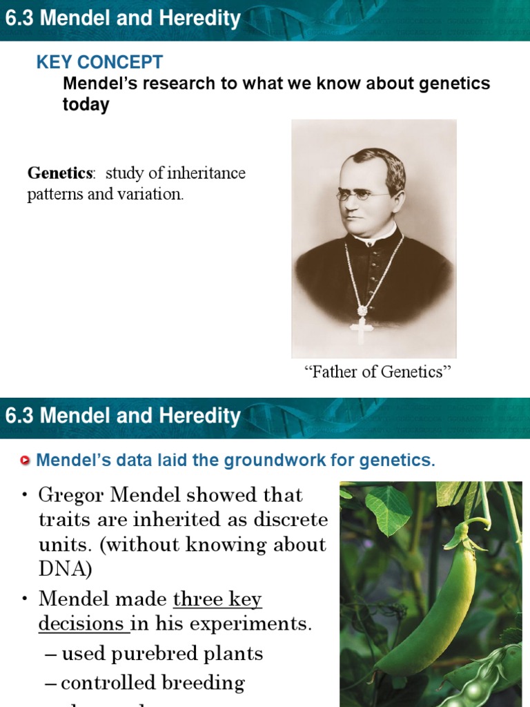 6.3 Mendel Heredity | PDF | Dominance (Genetics) | Zygosity