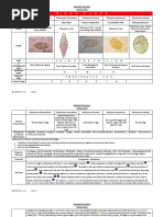 Cestodes (Table) | PDF | Medical Specialties | Diseases And Disorders