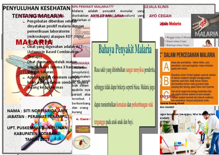 Leaflet Malaria | PDF