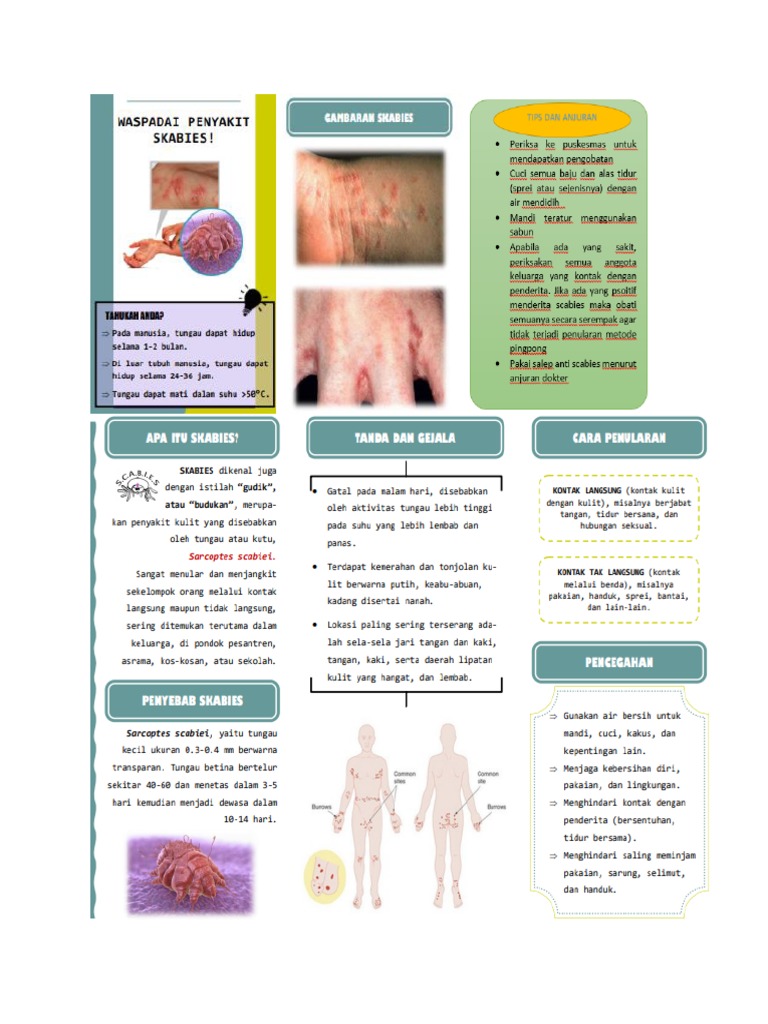 Scabies | PDF