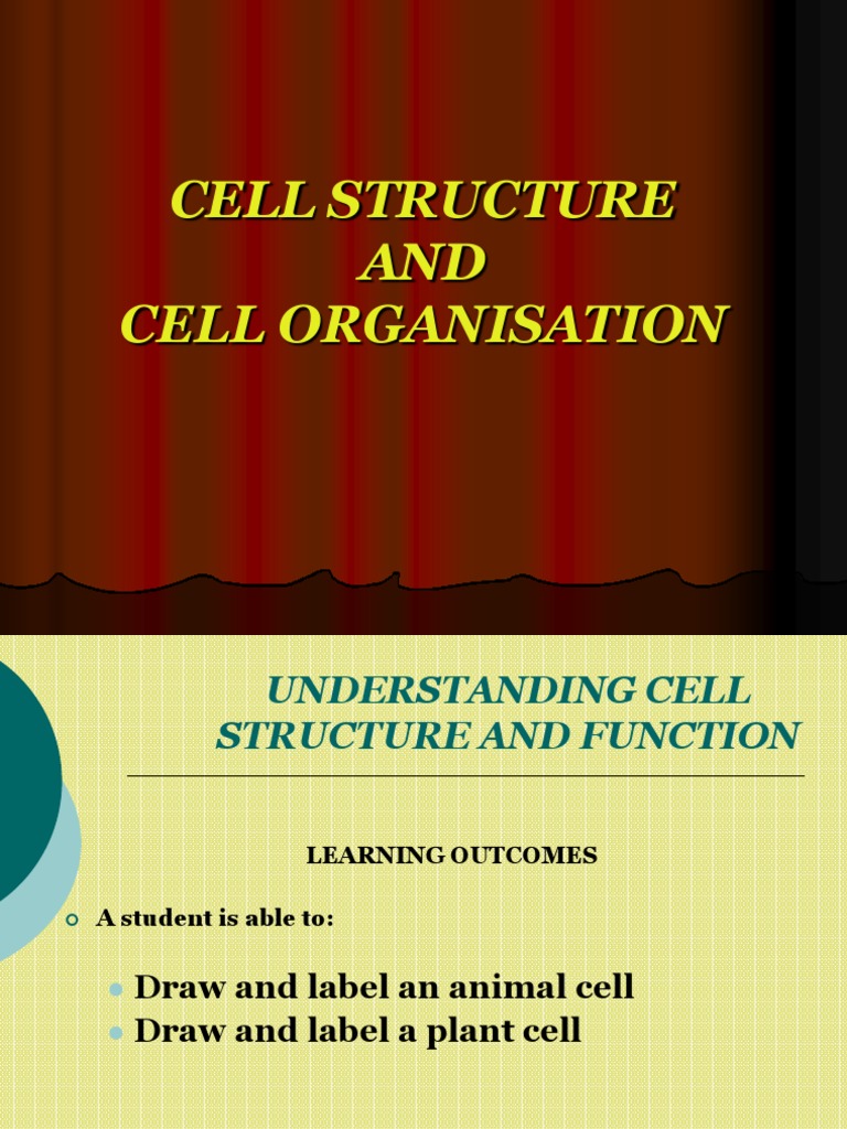 1.1 Cell Structure | PDF