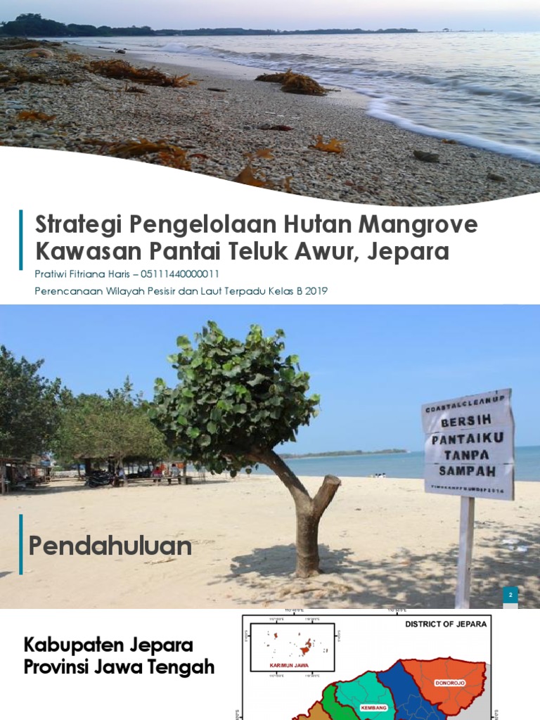 Strategi Pengelolaan Mangrove Teluk Awur | PDF